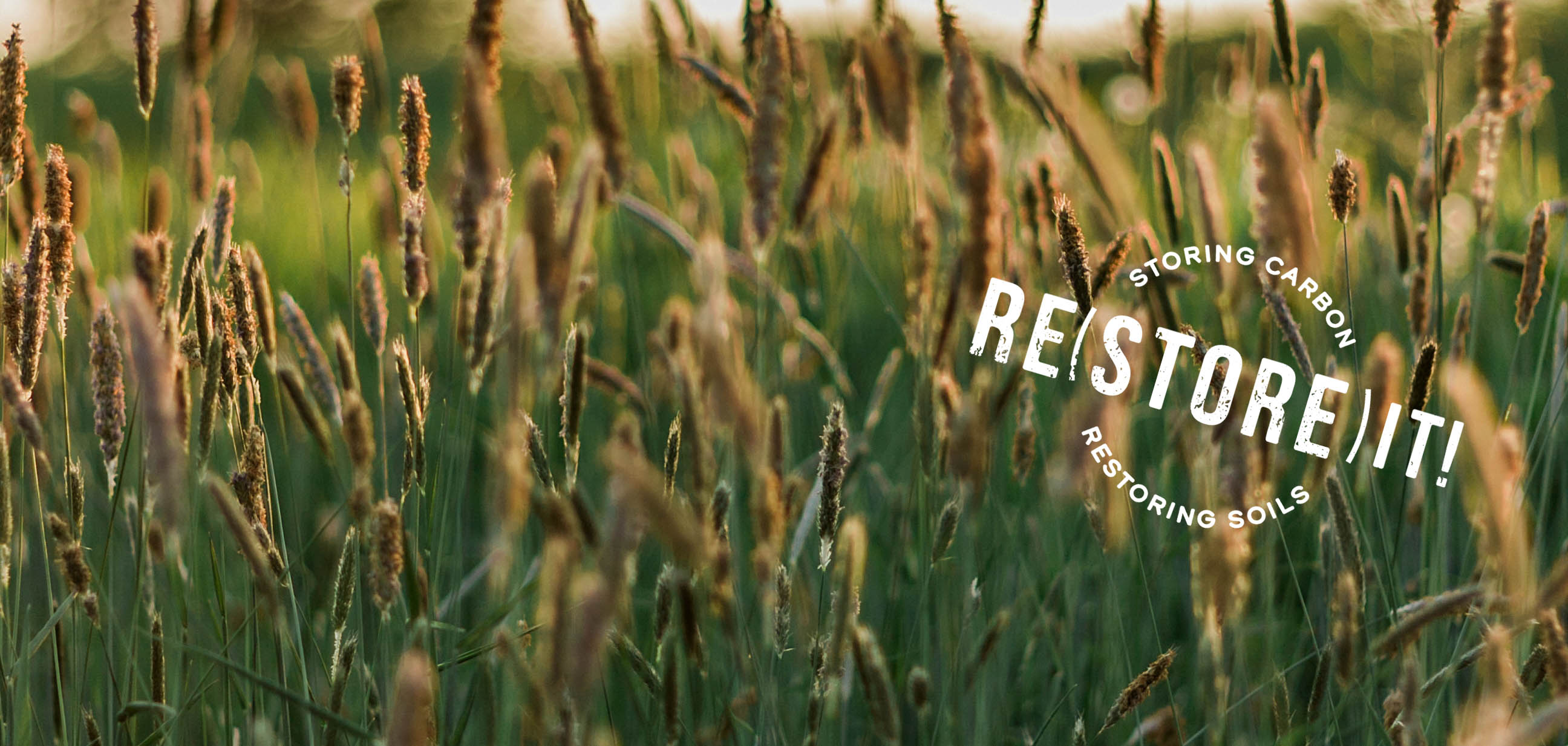 Re(Store) It! | Green America