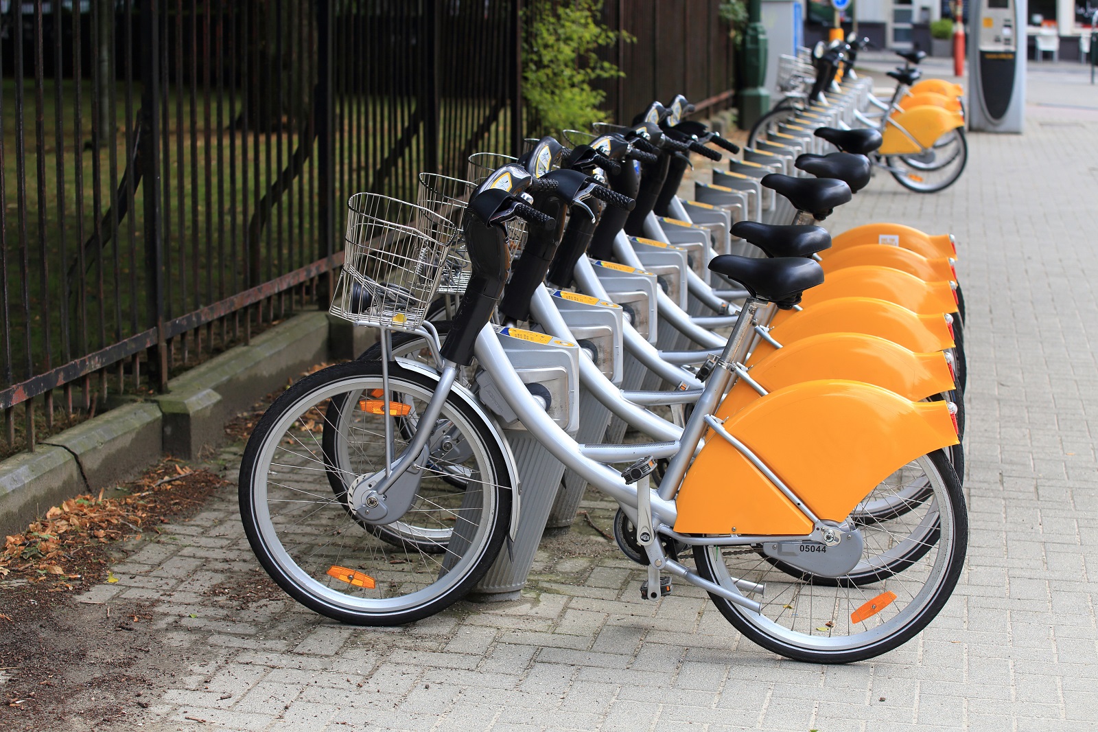 How to Green Your Transportation | Green America