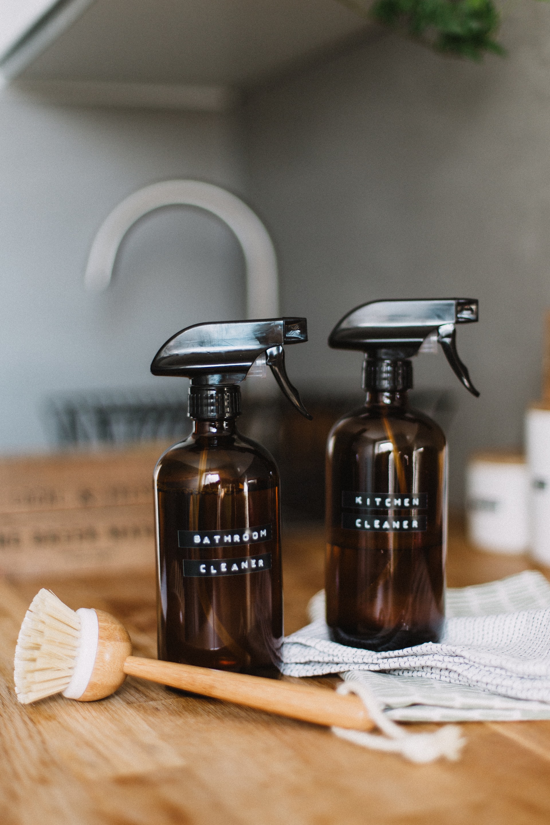 Ten Eco-Friendly Ways to Clean Green | Green America
