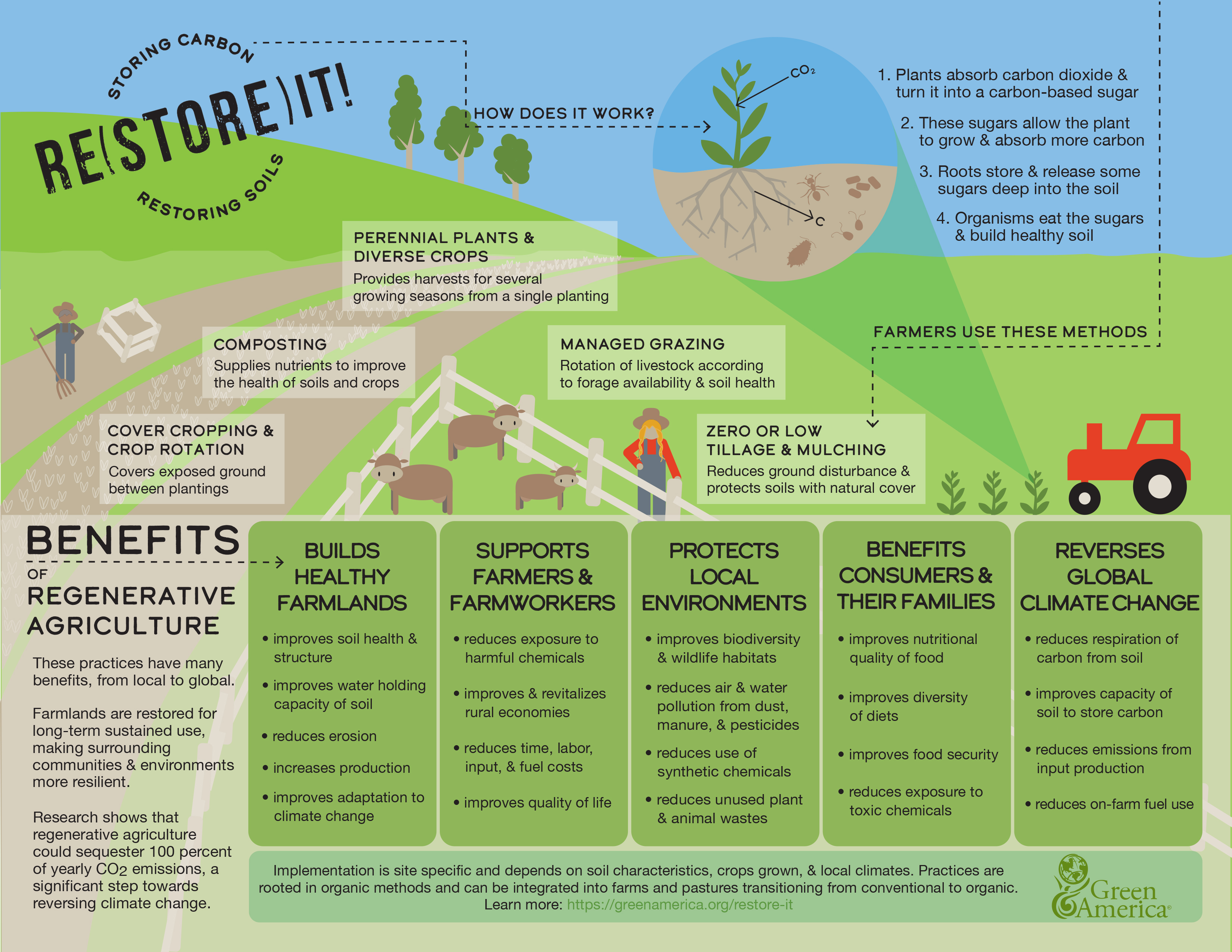 Re(Store) It! Infographic | Green America