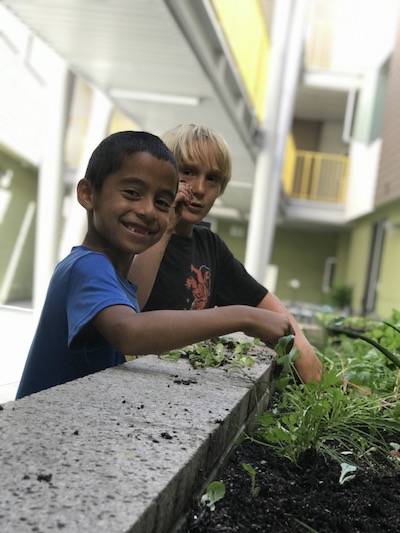 Growing Hope Gardens Help the Homeless | Green America
