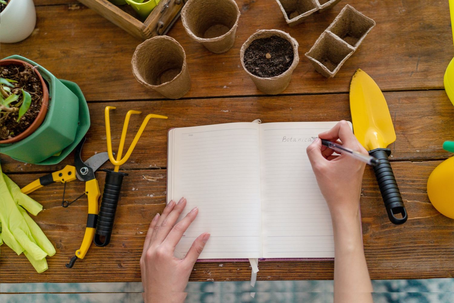 A Toolkit for the Beginner Gardener | Green America