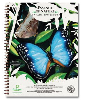 Sustainability Is Cool – Go Green At School | Annalisa Weller's Blog