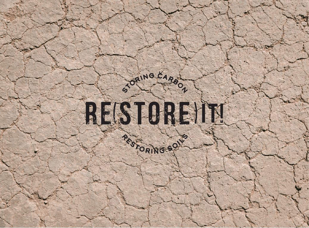 Dirt is a Dirty Word: Understanding the Complexities of Soil | Green ...