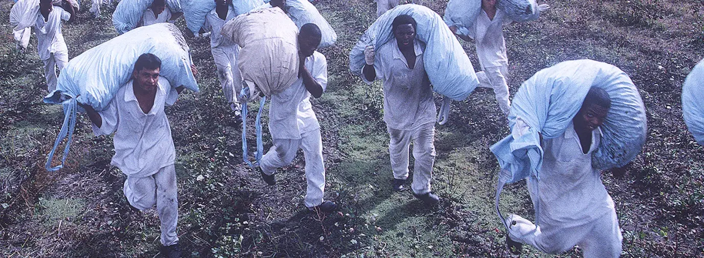 The Troubled History of Prison Labor | Green America