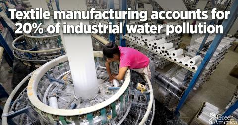 Toxic Textiles Report | Green America