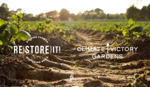 Top 10 Solutions to Reverse Climate Change | Green America